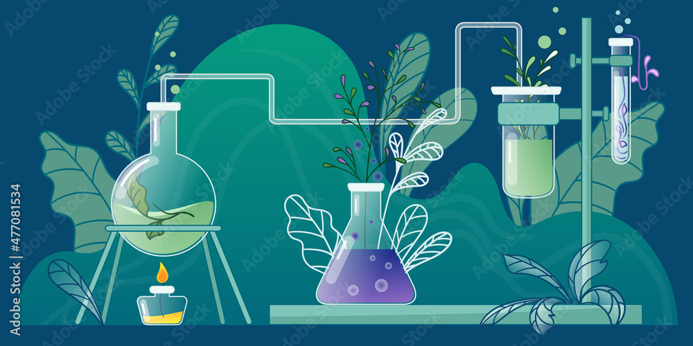 Vektorová grafika „Chemistry laboratory. Glass flasks, vial, test-tube ...