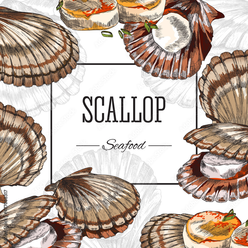 Scallop clam seafood elegant square frame border for menu or card ...