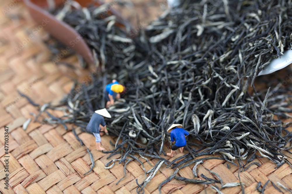 Miniature scene of busy tea farmers Stock Photo | Adobe Stock
