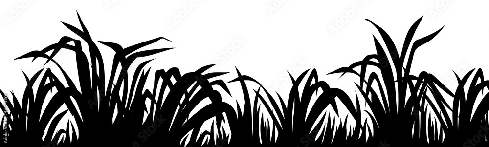 Silhouette grass, weed, marsh reeds, cattail, bulrush. Isolated black ...