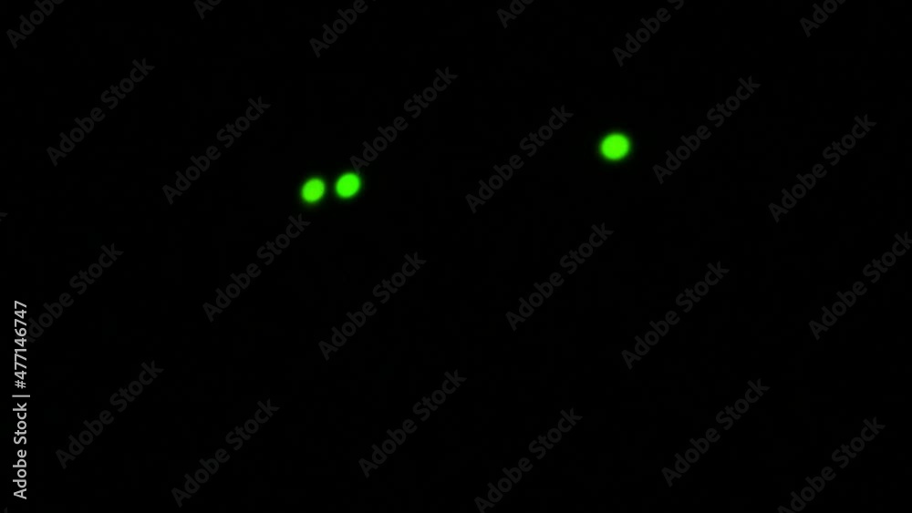 Wi-Fi router or modem light blinking. Wireless internet connection ...