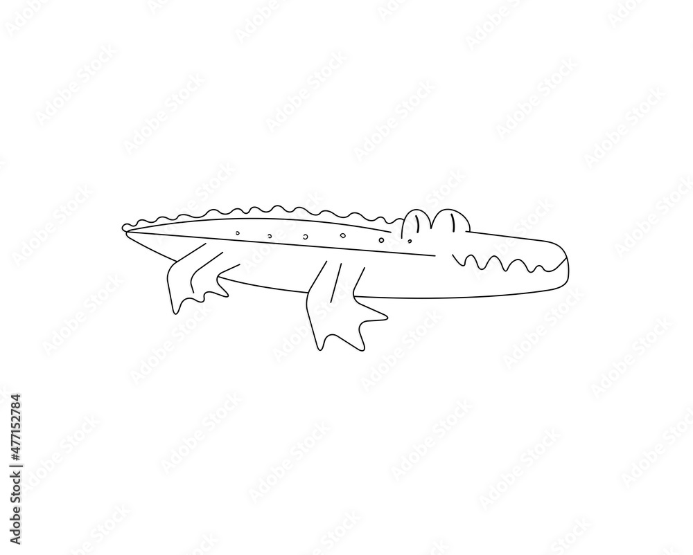 crocodile drawing outline vector illustration Stock Vector | Adobe Stock