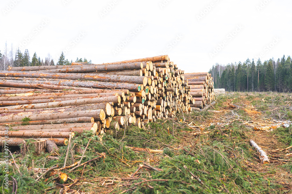 deforestation for roads, wood harvesting, wood as a renewable ...
