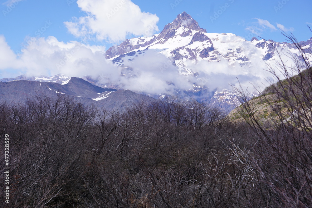 Habitat de huemul (Hippocamelus bisulcus), Antuco, cordillera de los ...