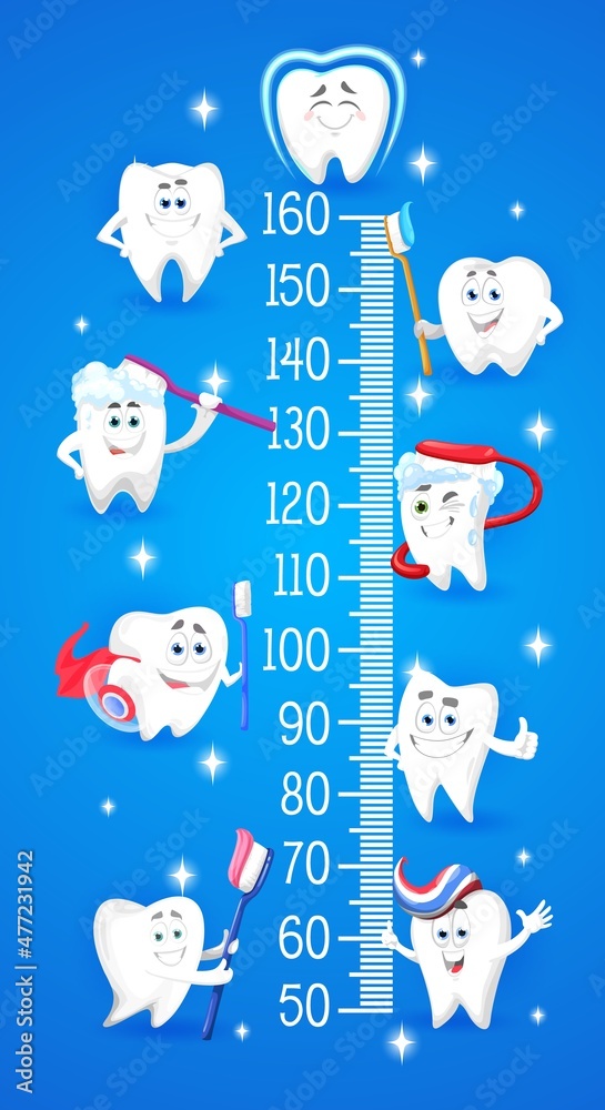 Cartoon teeth characters with toothbrush. Kids height chart, growth ...