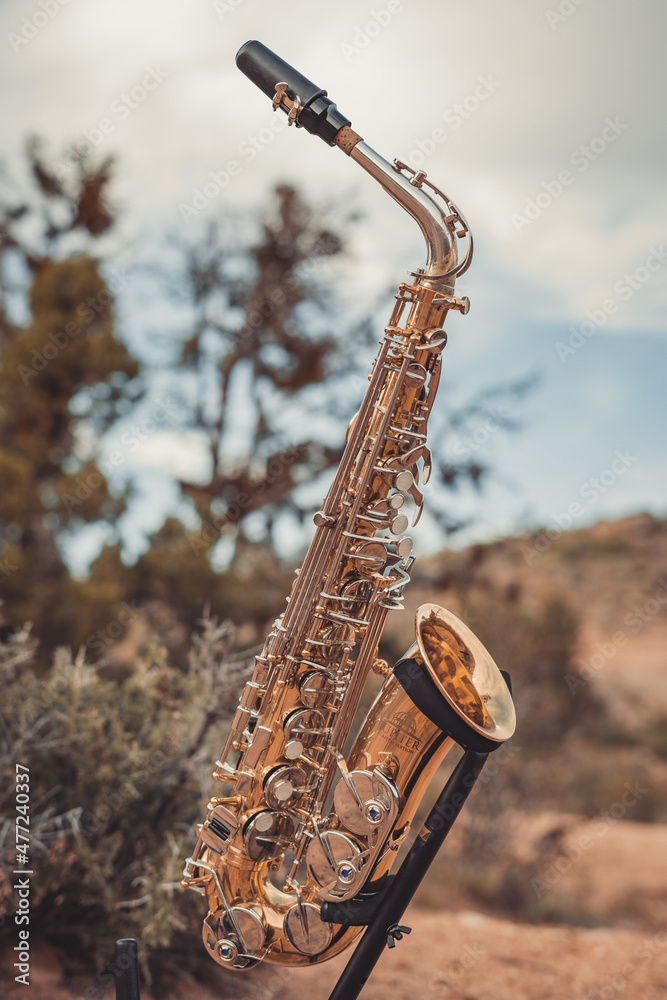 saxophone in nature Stock Photo | Adobe Stock