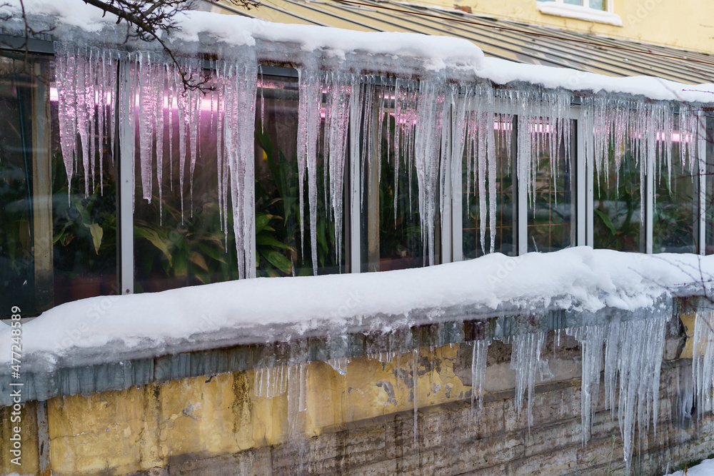 Melted snow on old greenhouse roof with hanging icicles formed during freeze and thaw cycles ...