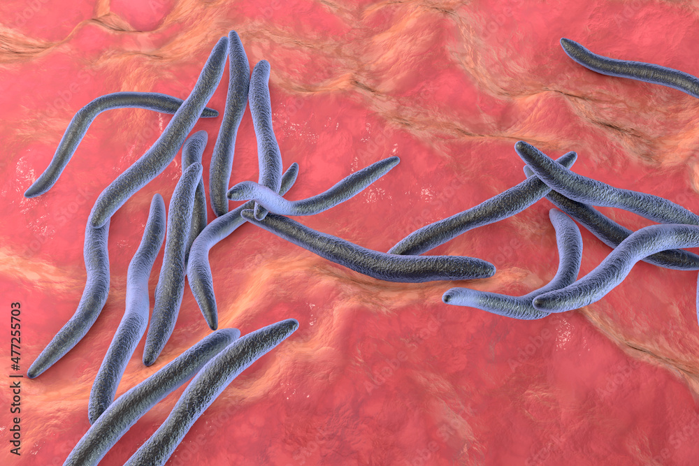 Fusobacterium, 3D illustration. An oral bacterium that causes ...