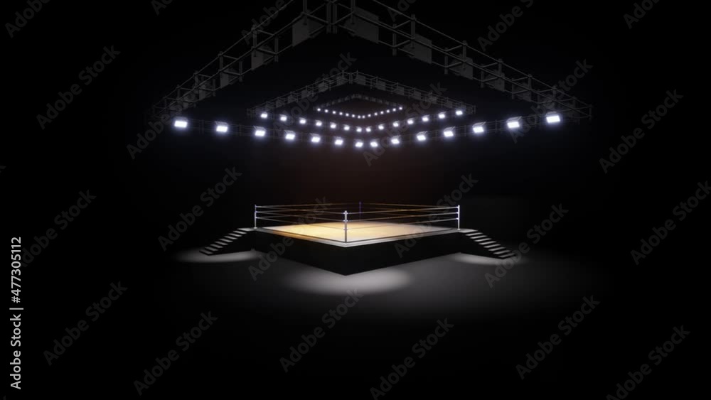 Sports wrestling and boxing. Sport 4K professional background animation ...