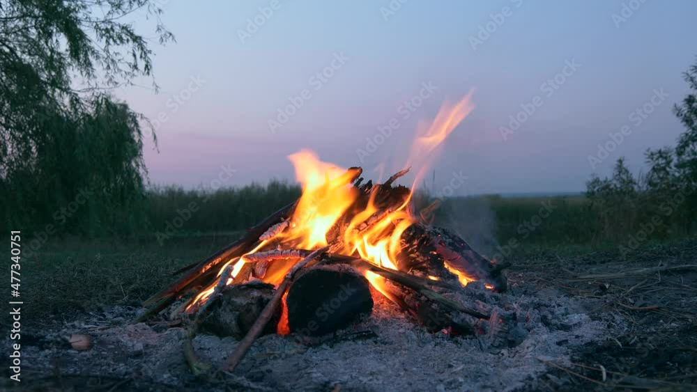 Close-up Burning Firewood Fire Flame Campfire on Camping Site Near Lake ...