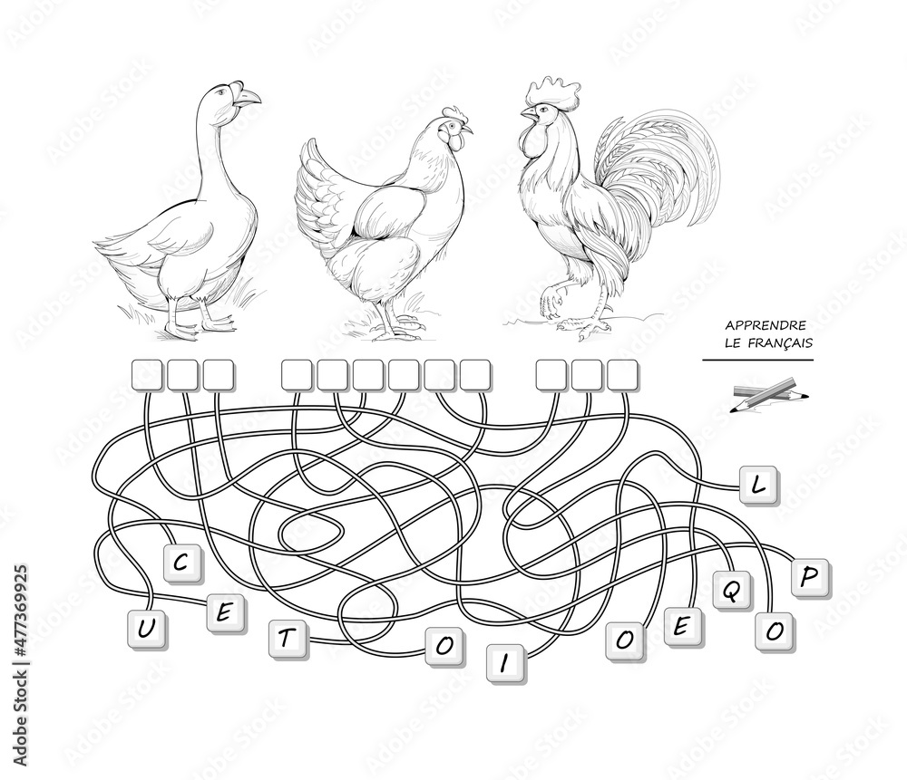 LEARN FRENCH. Logic puzzle game with farm birds for study French ...