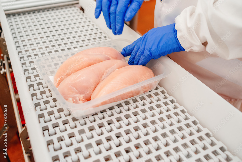 modern poultry processing plant.Meat processing in food industry ...