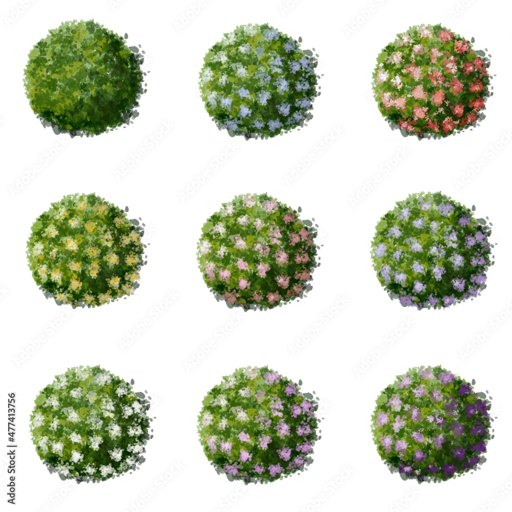 Vector of abstract watercolor tree top view isolated on white ...