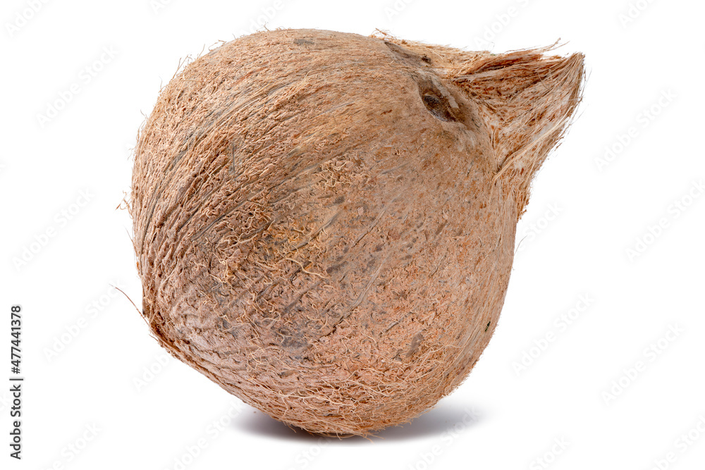 Fresh raw coconut cut in whole isolated on white background. Clipping ...