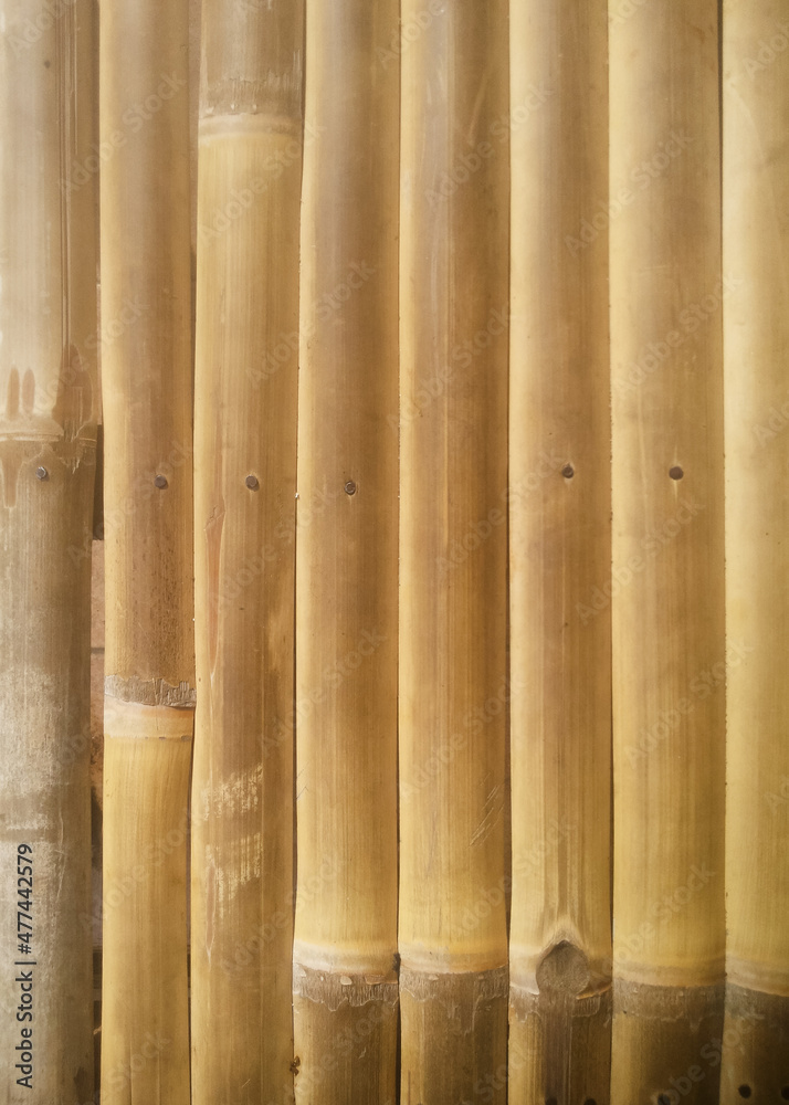 bamboo columns Stock Photo | Adobe Stock