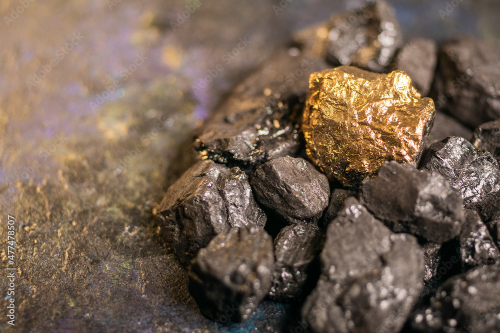 hard coal in the pile. a piece of gold among the coal. extracted ...