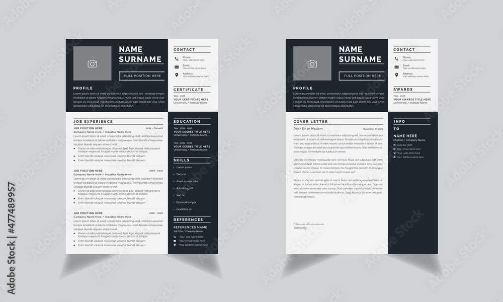 Professional Resume/CV Layout and Curriculum Vitae Template Design ...