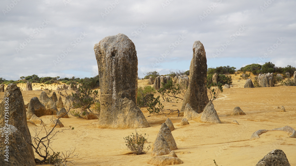 Dry desert landscapes in the Pinnacles Desert of Western Australia near ...