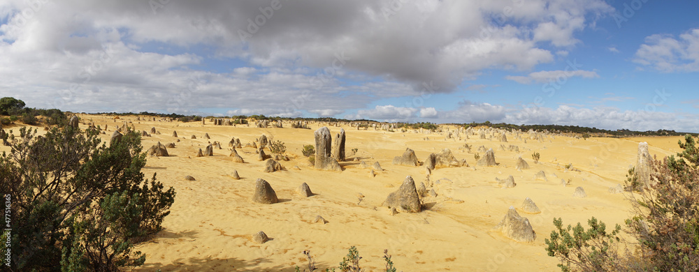 Dry desert landscapes in the Pinnacles Desert of Western Australia near ...