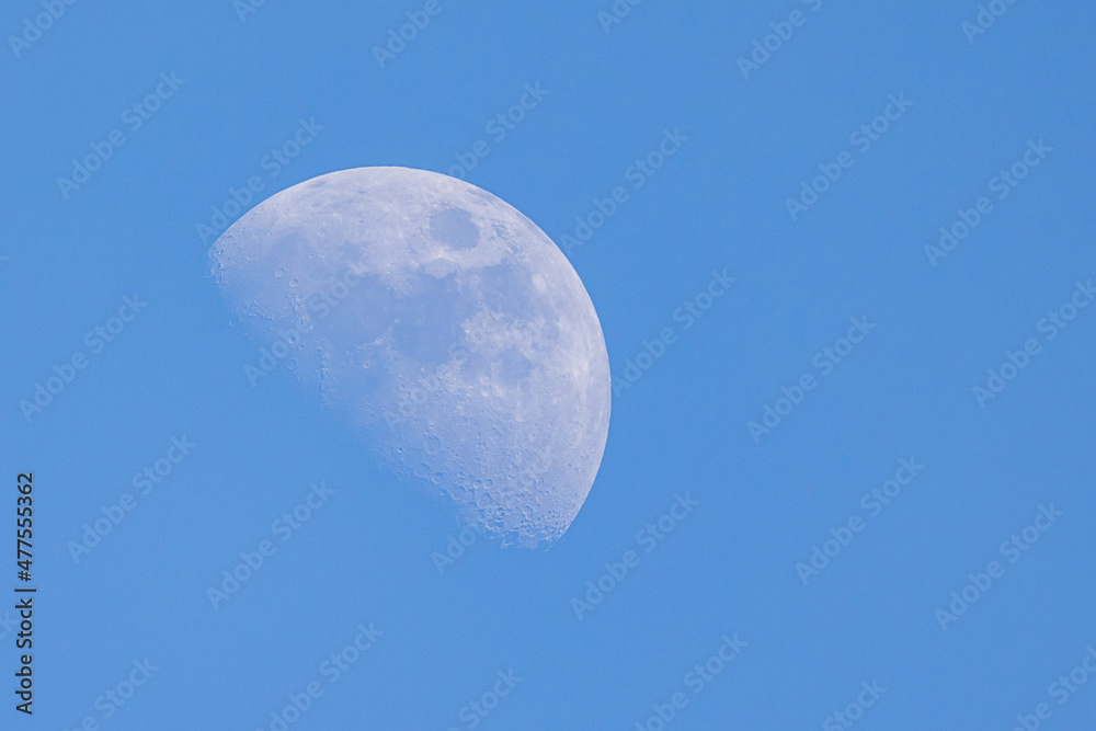 Half Moon Background - The Moon is an astronomical body that orbits ...