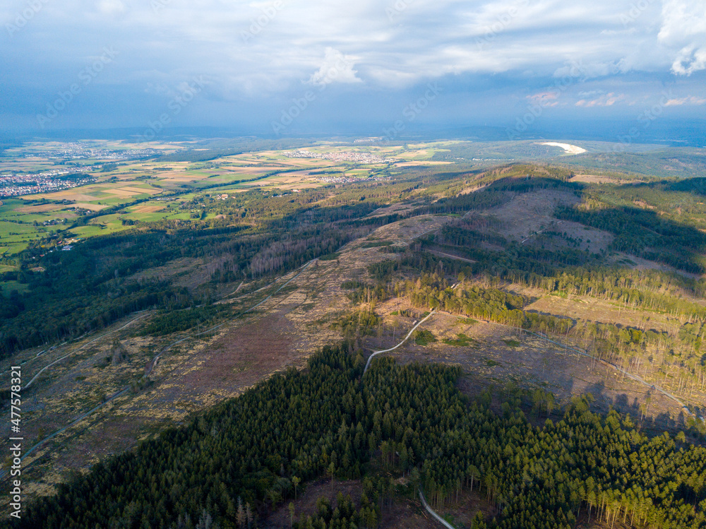 Waldsterben im Taunus zwischen Sandplacken und Saalburg durch ...