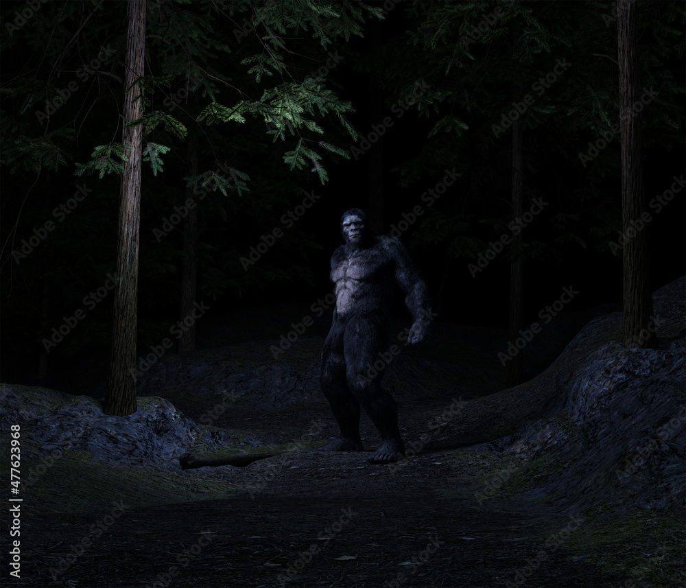 Bigfoot Sasquatch cryptid stood in a forest clearing lit by moonlight ...