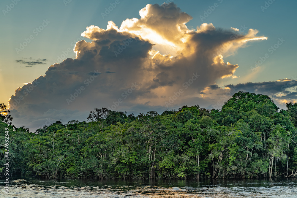 Reflection of a sunset by a lagoon inside the Amazon Rainforest Basin ...