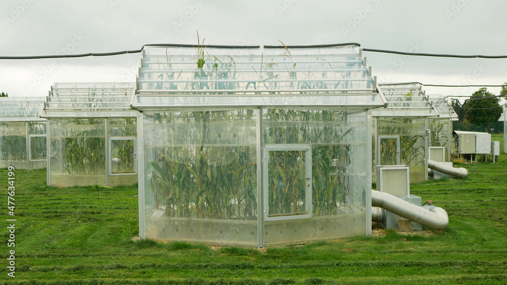 Greenhouse science station research open top chambers climate change ...