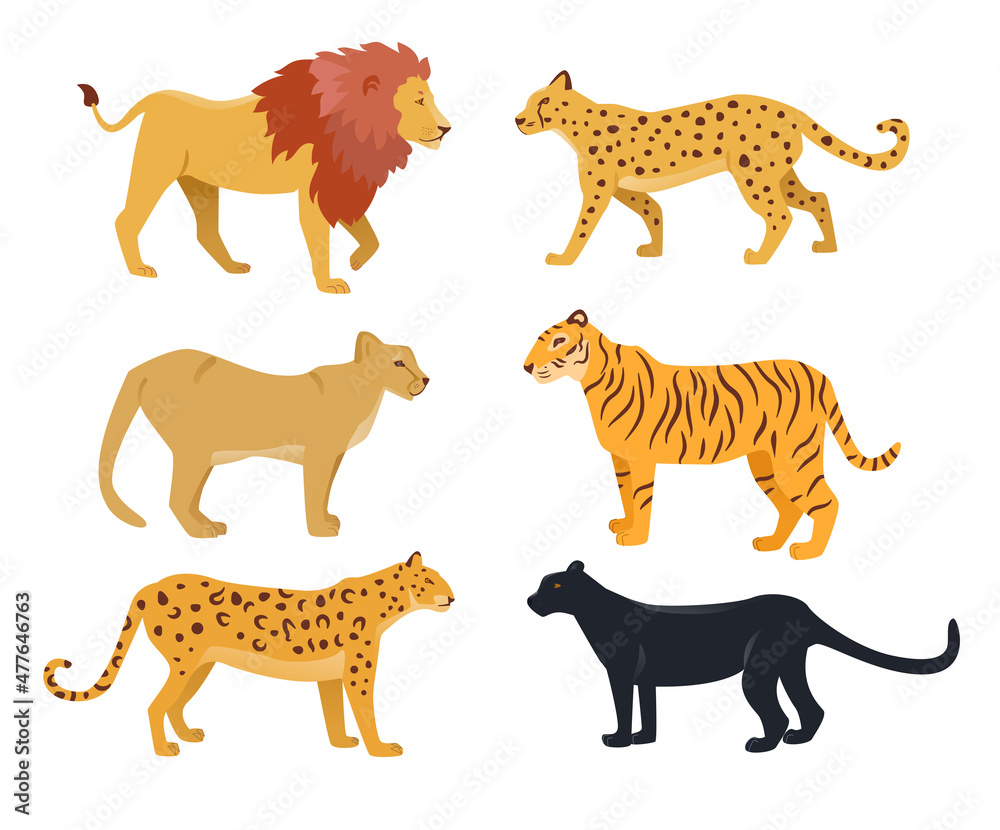 Realistic wild cat cartoon characters vector illustrations set ...