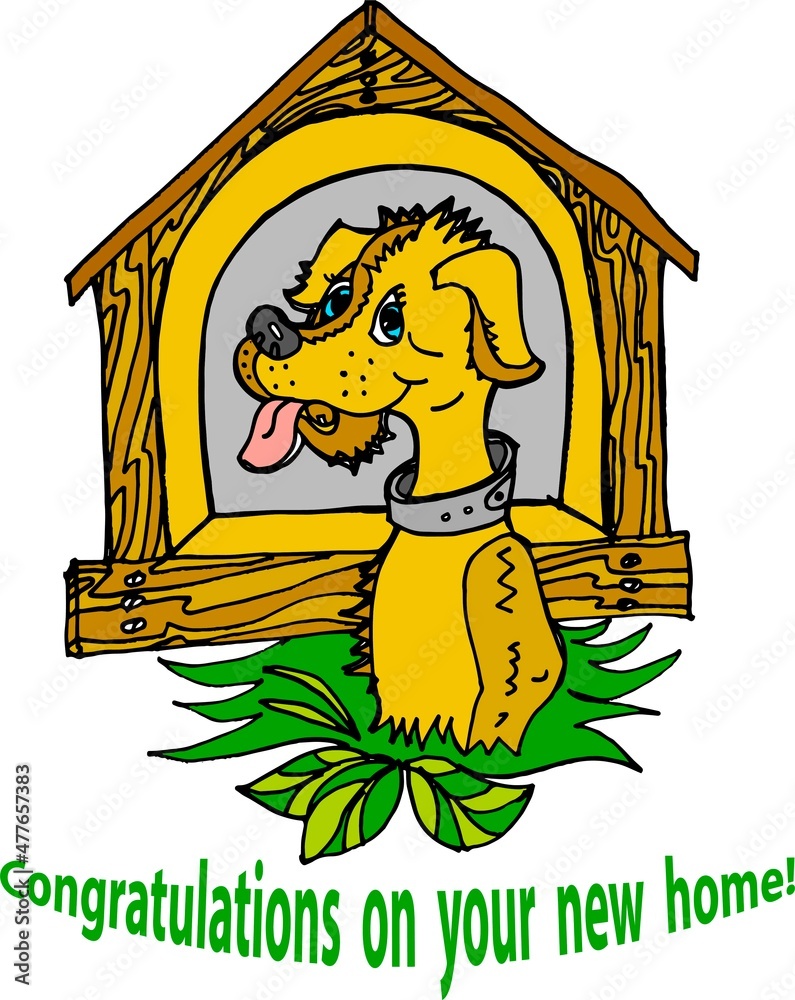 Congratulations Puppy