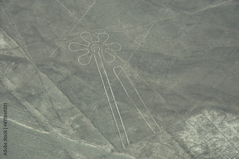 Poster Aerial views of the Nasca Lines , Nasca, Peru – Wall Art | UkPosters