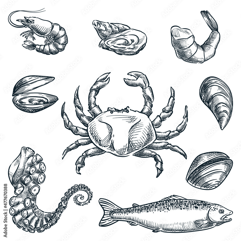 Seafood and fresh raw fish set. Hand drawn vector sketch illustration ...