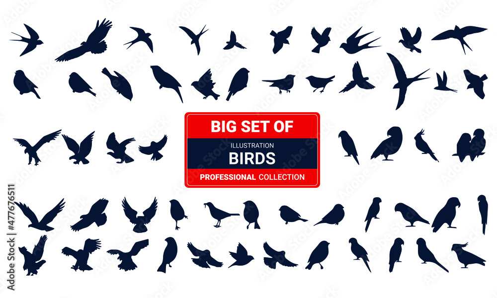 Bird icons set, diferent types of wild birds flat and moder icon set ...