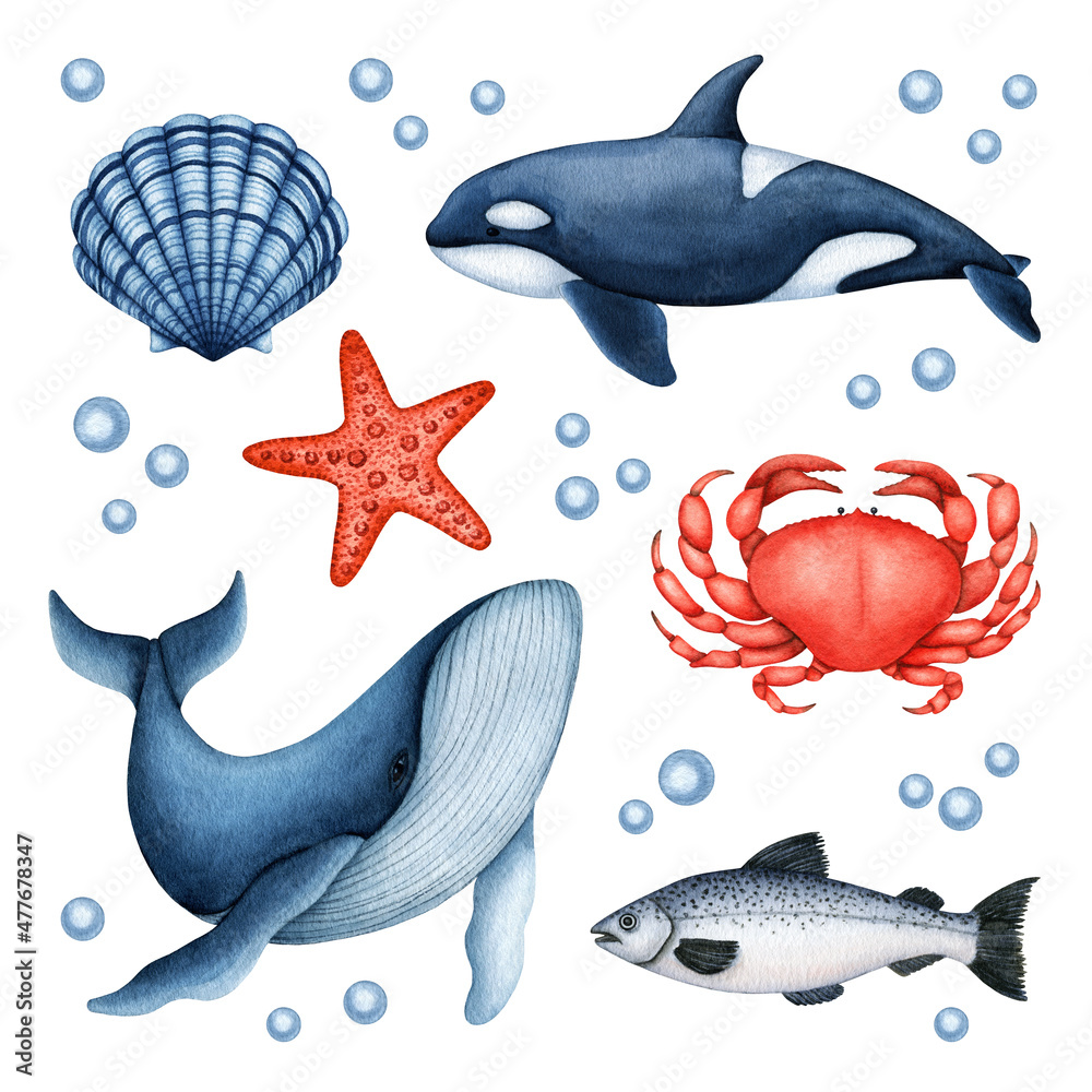 Underwater Animal Watercolor Set. Blue Whale, Orca (Killer Whale ...