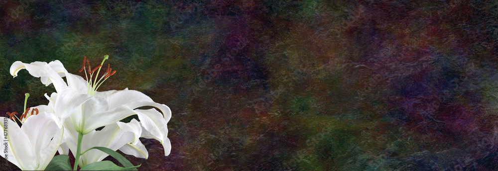 Lily Funeral Wake order of service invitation background banner ...