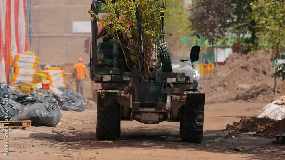 A forklift carries a tree in a pot. Planting trees in the city ...