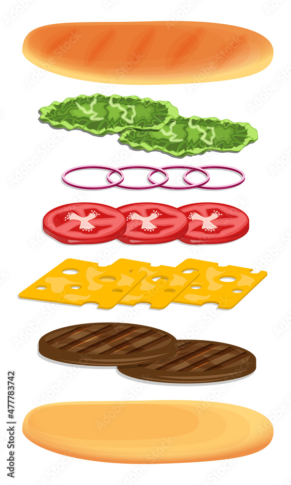 Sandwich ingredients separated concept sub fast food vector ...