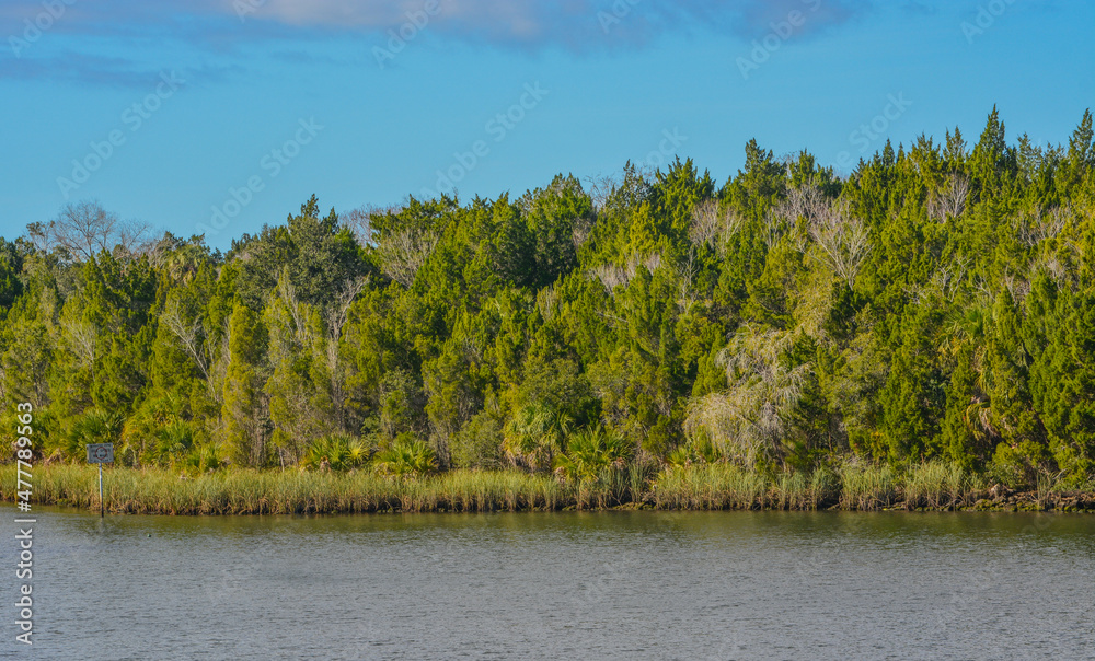 Crystal River has natural springs feeding it. Crystal River Preserve ...