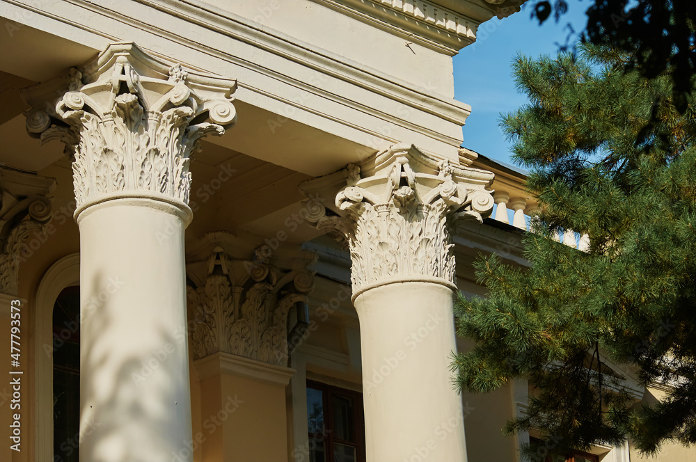 Capital at the top of the column. A beautiful architectural element ...