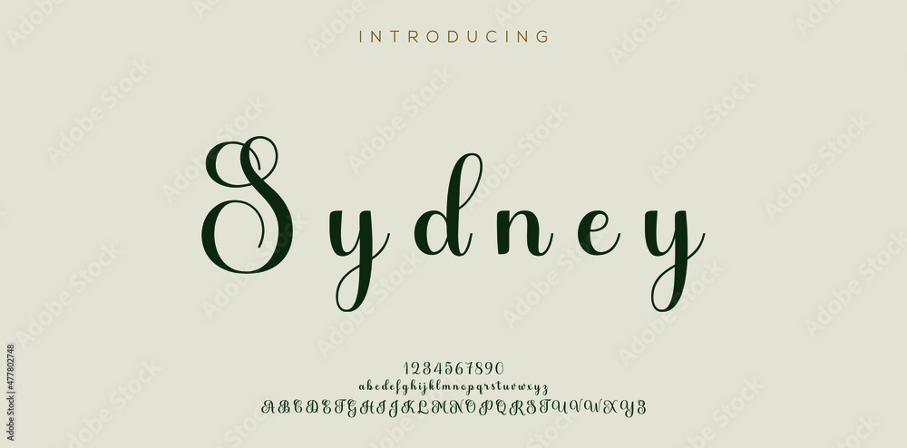 Modern Minimal luxury SYDNEY Font and Alphabets. Unique tech typeface ...