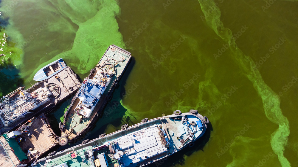 Water pollution by blooming blue-green algae - Cyanobacteria is world ...