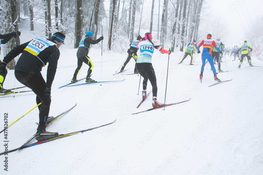 Nordic Ski Race