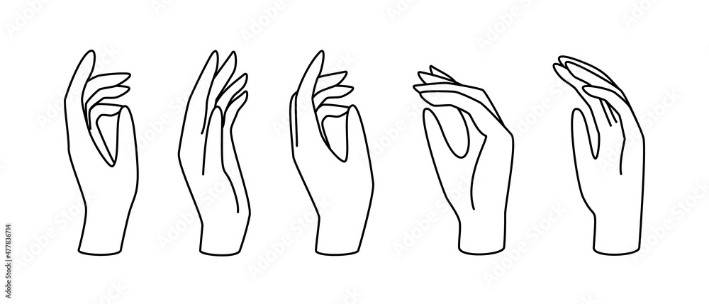 Hand gesture linear vector illustration. Thin female hand as a symbol ...