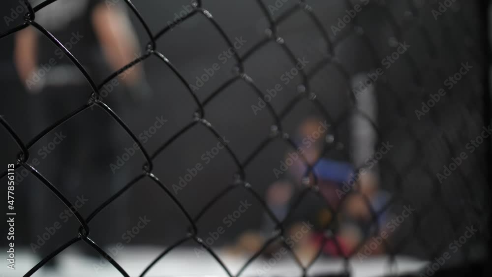 Metal octagon mesh against the background of which fighters fight in a ...