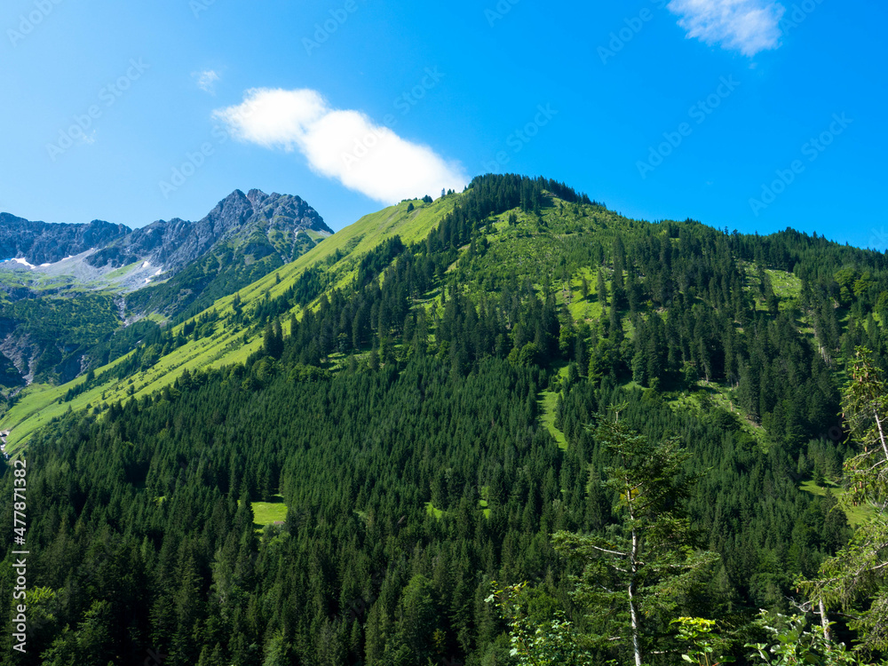 Fotka „Idyllic landscape in the austrian Alps with a view of pine trees ...