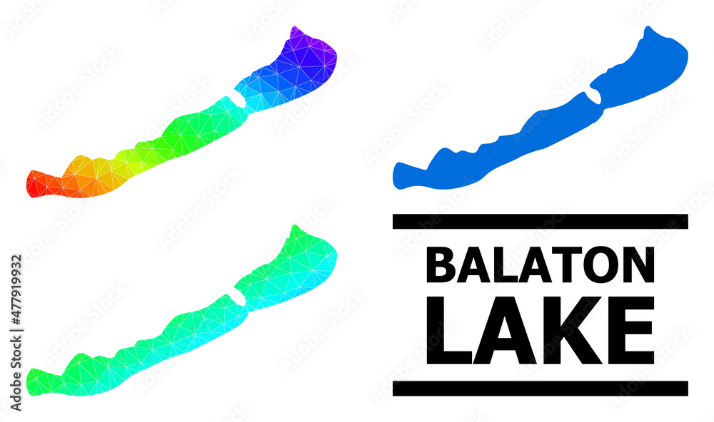 Vector lowpoly rainbow colored map of Balaton Lake with diagonal ...