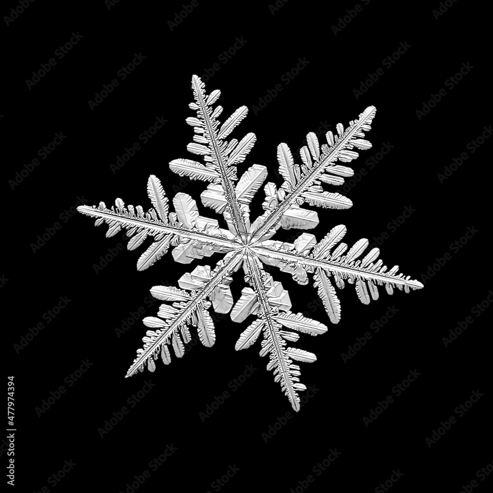 Snowflake isolated on black background. Macro photo of real snow ...