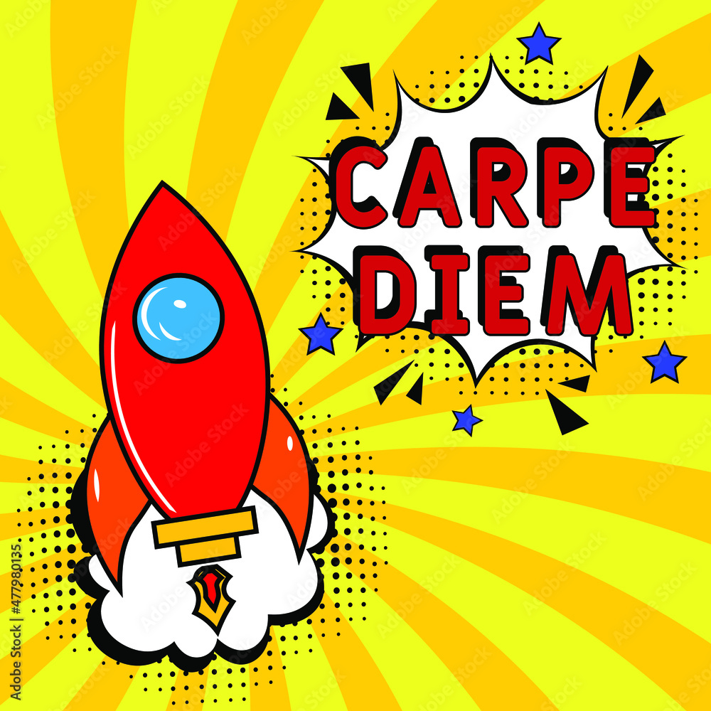 Carpe Diem It Can Be Used For Website Design T shirt Phone Case carpe-diem-it-can-be-used-for-website-design-t-shirt-phone-case