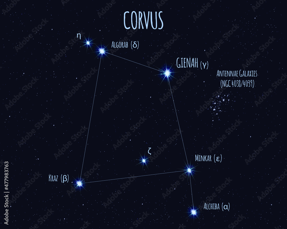 Corvus (The Raven) constellation, vector illustration with the names of ...