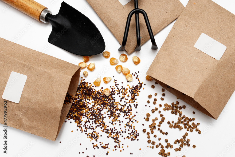 Top view of the various seeds of vegetables in eco packaging, next to ...